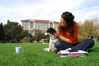 The Pros and Cons of Owning a Pet in College - CampusBooks Blog