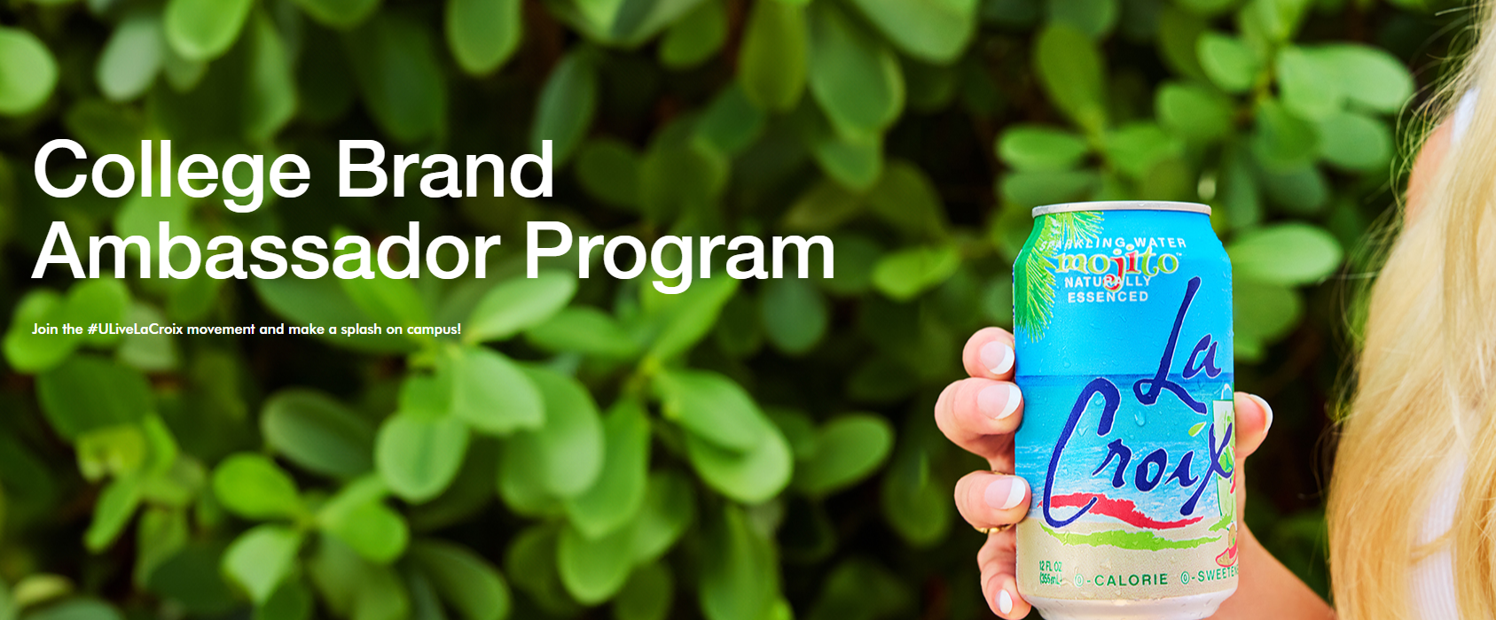 Top 17 Campus Ambassador Programs for Students in 2025 - CampusBooks Blog